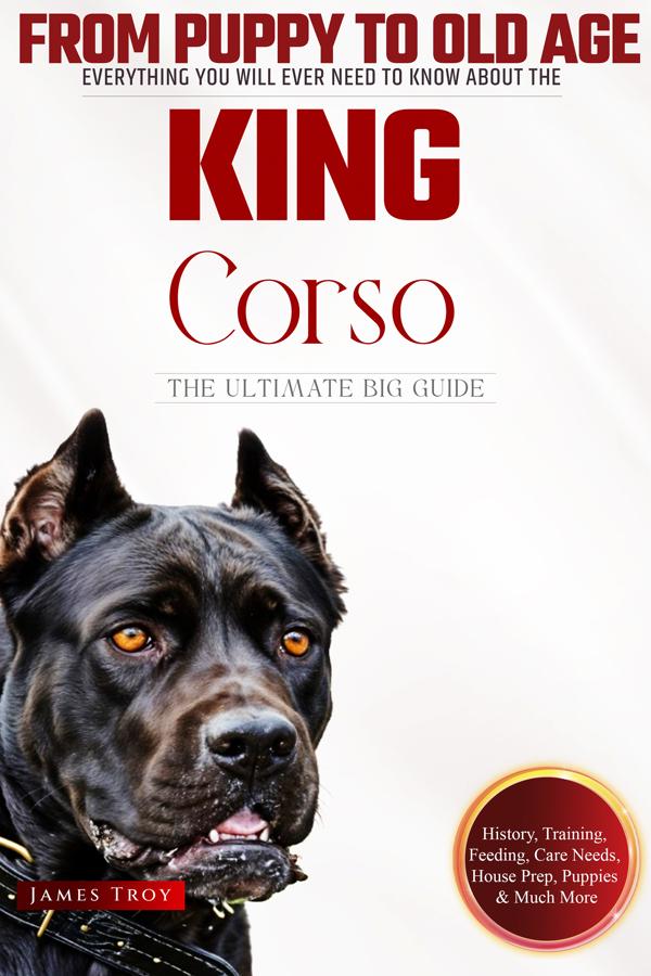 James Troy: The Ultimate Cane Corso Big Guide bei ebook.de